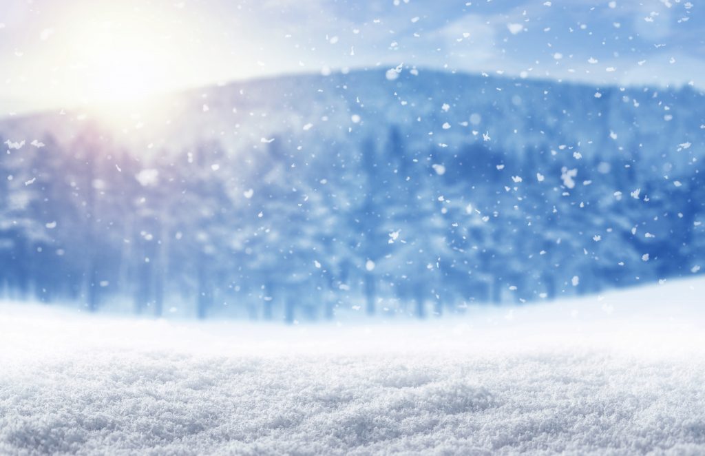 New Fallen Snow - The Salvation Army USA National Women's Ministries