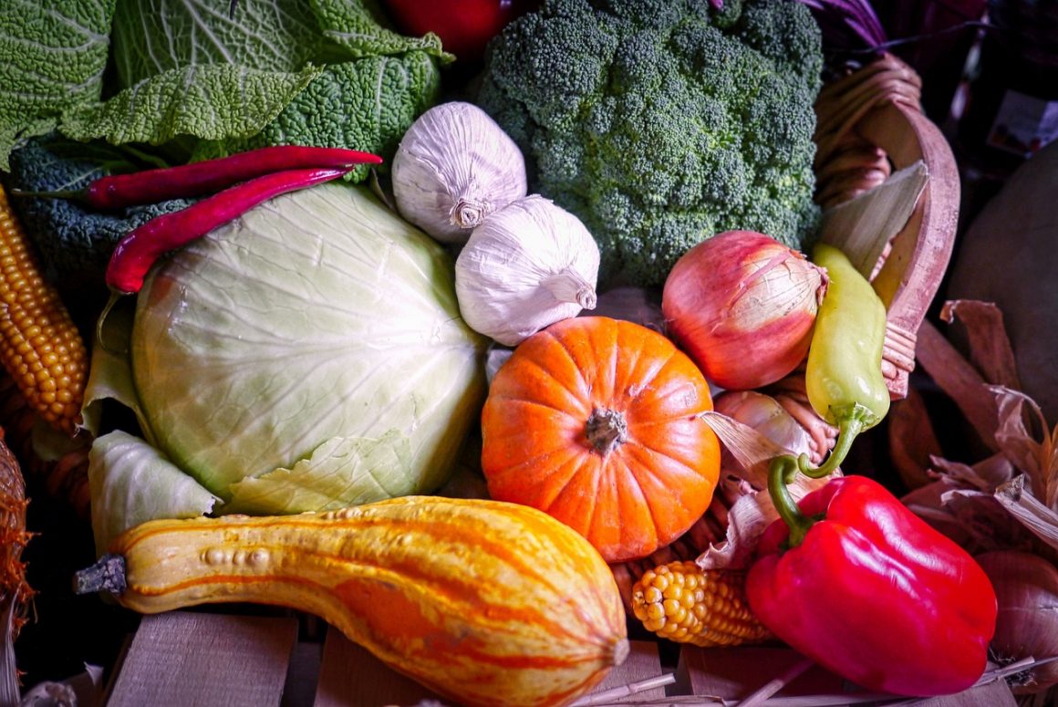 November 2025 - Faithful - The Salvation Army USA National Women's Ministries